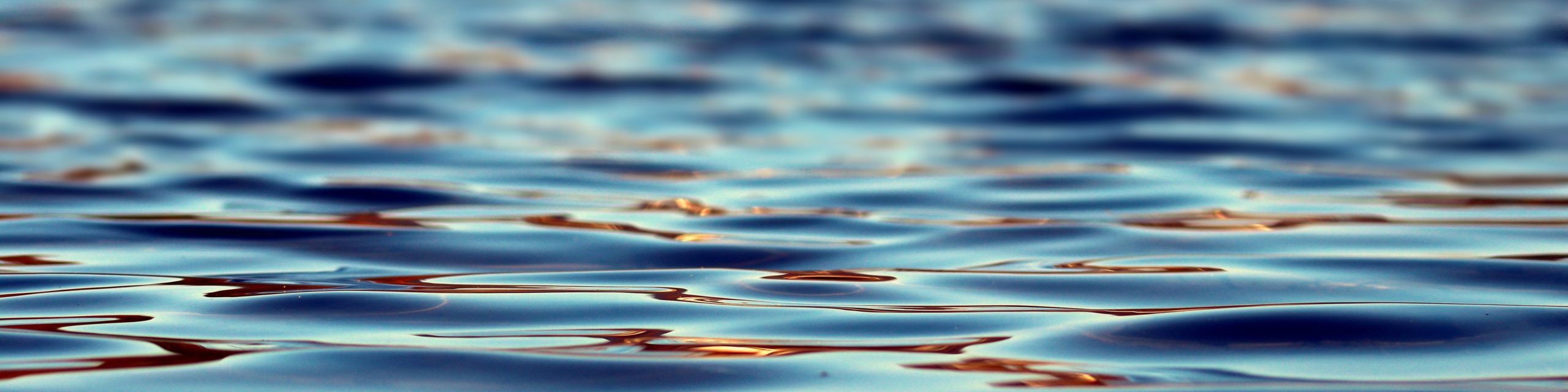 Water microbiology - France Organo Chimique